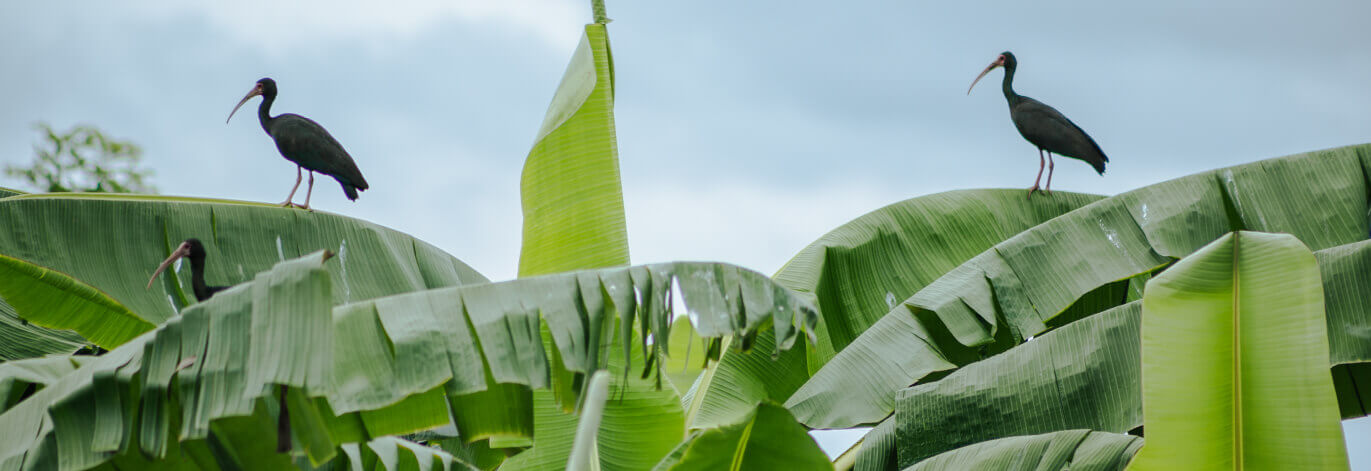 Descubre el Urabá Antioqueño | Viajes Comfama